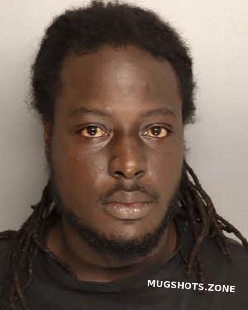 BLOWE ORLANDO KENNETH 08/09/2024 - Berkeley County Mugshots Zone