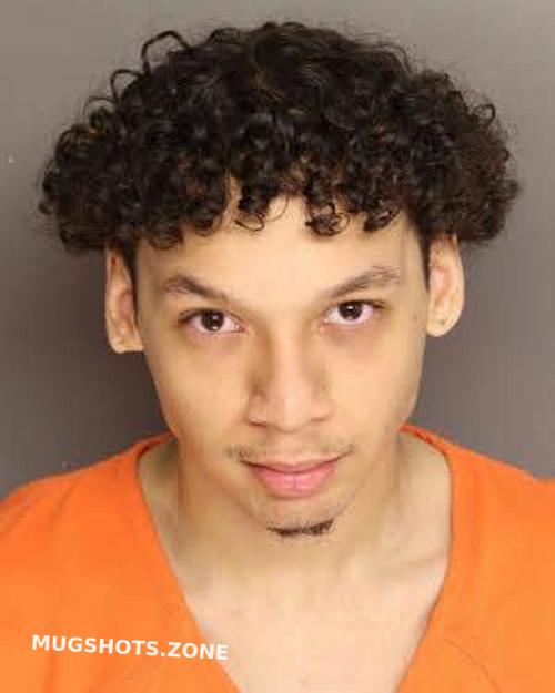 DIAZ HECTOR JOSIAH 08/11/2024 - Berkeley County Mugshots Zone