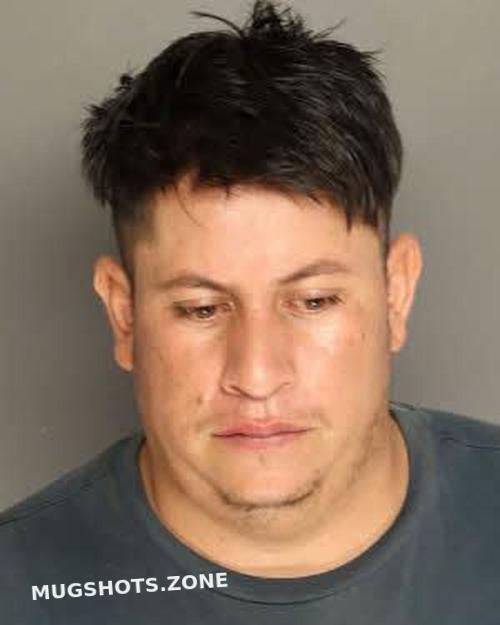 CASTANEDA UBALDO MONTERRO 08/18/2024 - Berkeley County Mugshots Zone
