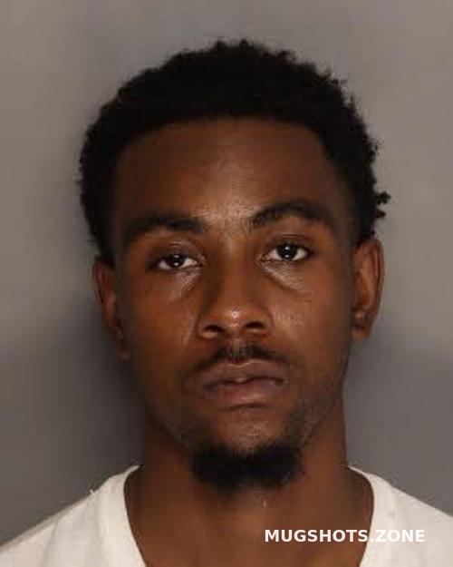 CROKER KAVIAN JASPER 08/20/2024 - Berkeley County Mugshots Zone