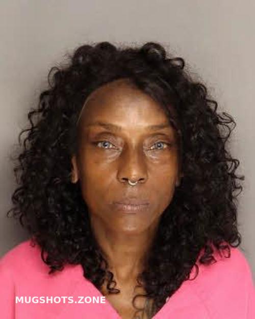 PERRY MARLO RENEE 08/20/2024 - Berkeley County Mugshots Zone
