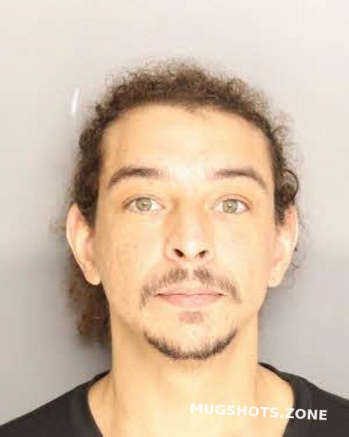 ATHA CALEB ALAN 08/23/2024 - Berkeley County Mugshots Zone