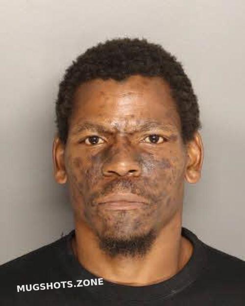 TISDALE TERRENCE JEROD 08/24/2024 - Berkeley County Mugshots Zone