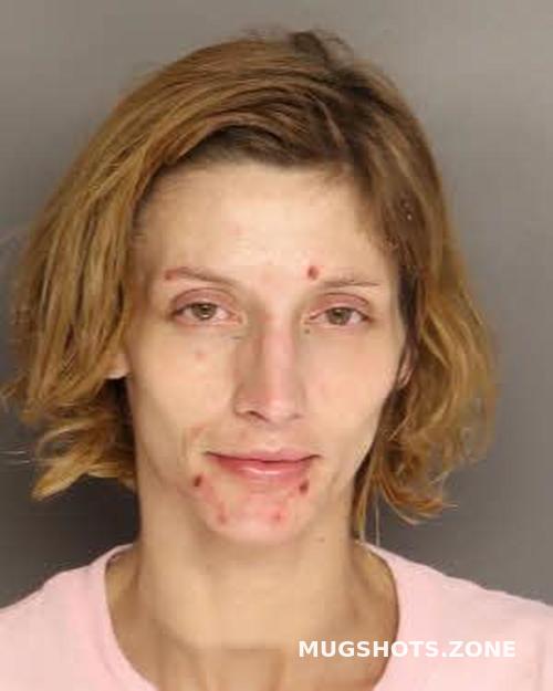 FLORES LINDA TERRI 08/27/2024 - Berkeley County Mugshots Zone