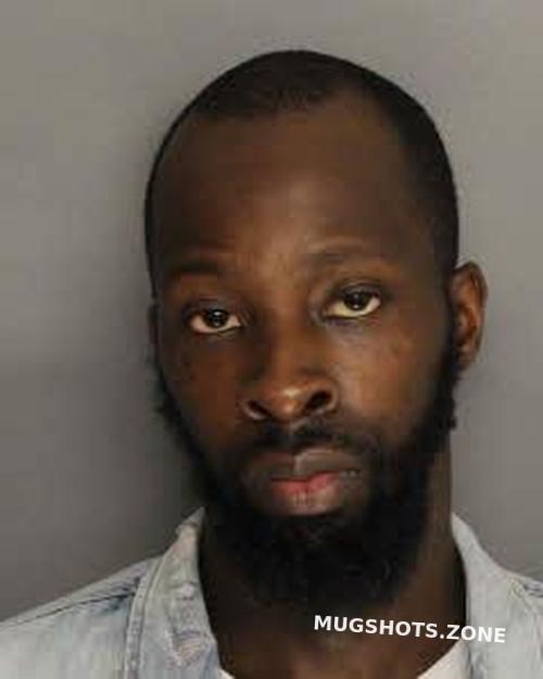 NELSON MICHAEL ARKEILO 09/03/2024 - Berkeley County Mugshots Zone