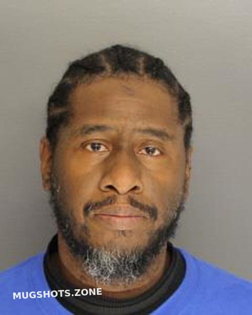 SIMMONS DAVID SOLOMON 09/20/2024 - Berkeley County Mugshots Zone