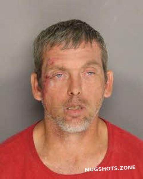 MIKKELSON DALE AARON 10/15/2024 - Berkeley County Mugshots Zone