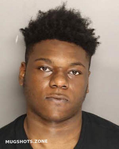 MARTIN JADEN CHRISTOPHER 10/21/2024 - Berkeley County Mugshots Zone