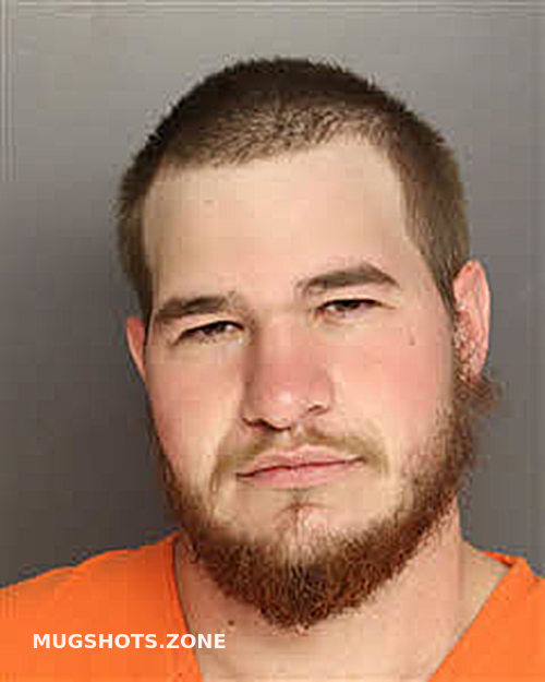 DRIGGERS KEVIN DEWIIT 11/02/2024 - Berkeley County Mugshots Zone