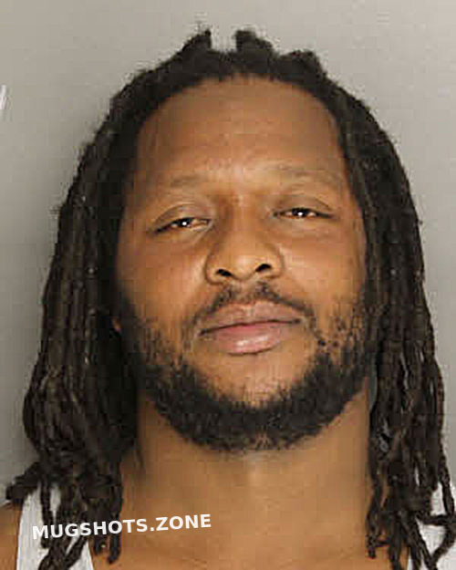 WILLIAMS CHRISTOPHER IKEM 11/04/2024 - Berkeley County Mugshots Zone