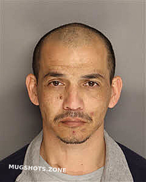 SCAVIO RAYMOND EDWARD 12/10/2024 - Berkeley County Mugshots Zone