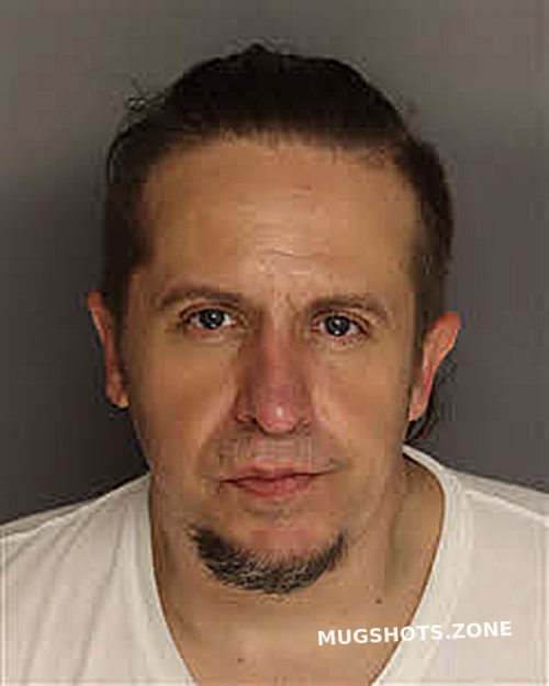 REEVES CHARLES MICHAEL 12/20/2024 - Berkeley County Mugshots Zone