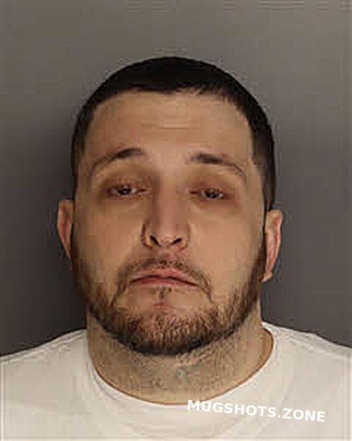 LEAP STEVEN BRIAN 12/20/2024 - Berkeley County Mugshots Zone