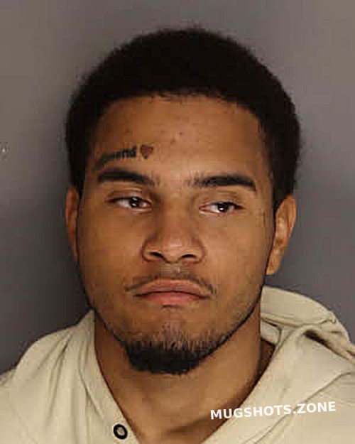 PINCKNEY KRI''SHAWN RODRIQUEZ 02/22/2025 - Berkeley County Mugshots Zone