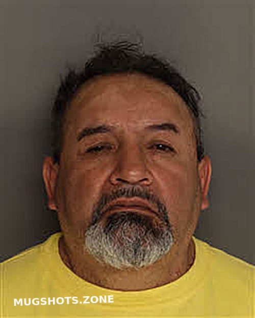 RODRIGUEZ HERMILO 02/23/2025 - Berkeley County Mugshots Zone