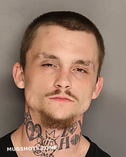 FRANK GAVIN OWEN 02/25/2025 - Berkeley County Mugshots Zone
