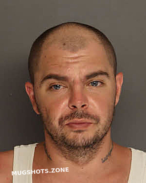 JENSEN SHAWN ROBERT BAUER 03/05/2025 - Berkeley County Mugshots Zone