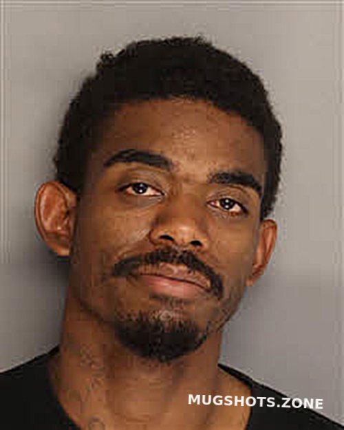 YOUNG DEMARCUS DEON 03/08/2025 - Berkeley County Mugshots Zone