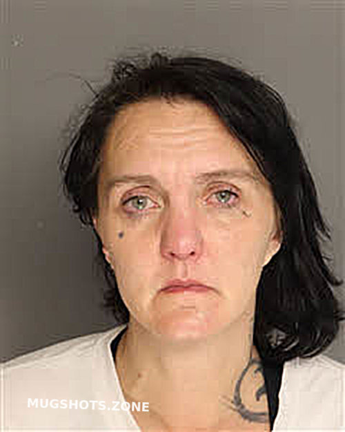 REED MELISSA 03/10/2025 - Berkeley County Mugshots Zone