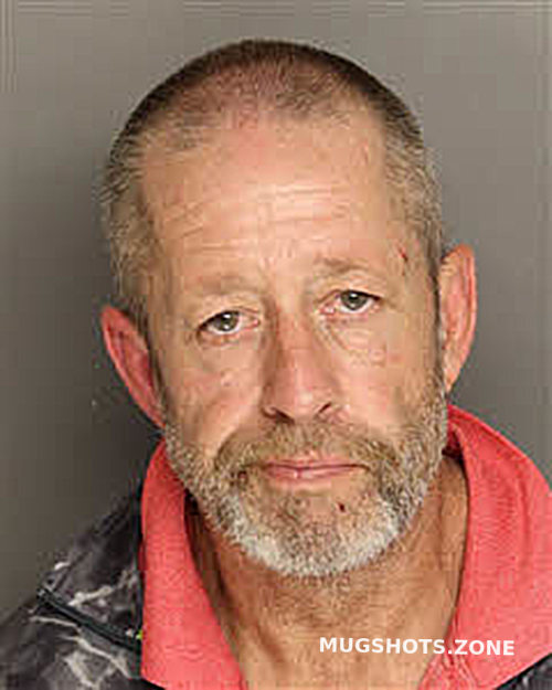 LINDSAY SCOTT HOWARD 03/10/2025 - Berkeley County Mugshots Zone