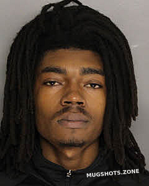 WYNNE TERRENCE LEE 03/16/2025 - Berkeley County Mugshots Zone