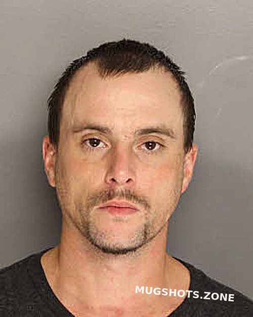 LYONS MICHAEL SHANE 03/18/2025 - Berkeley County Mugshots Zone