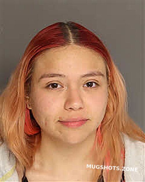 SANCHEZ STACEY ISABELLE 03/22/2025 - Berkeley County Mugshots Zone