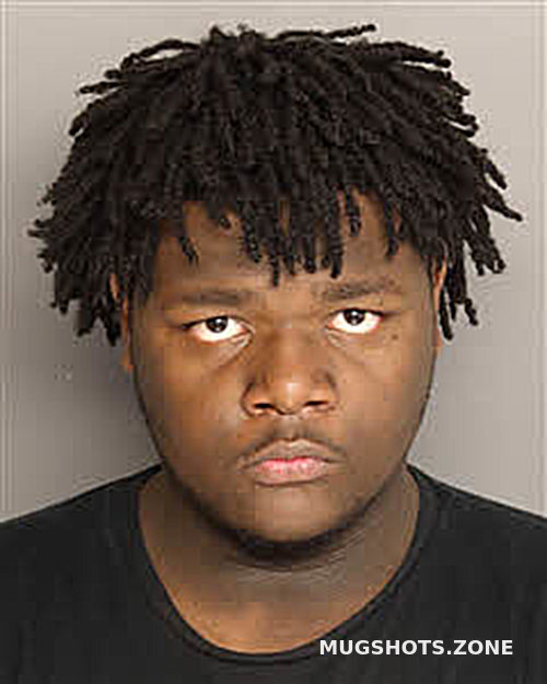 WILLIAMS JOSIAH 03/22/2025 - Berkeley County Mugshots Zone