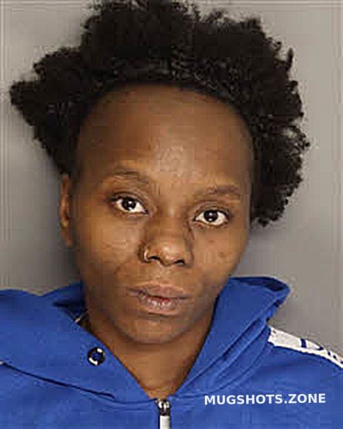 HARDY ALLISON NICOLE 03/27/2025 - Berkeley County Mugshots Zone
