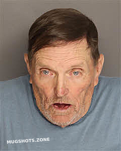 FLOYD HARRY DAVID 03/28/2025 - Berkeley County Mugshots Zone