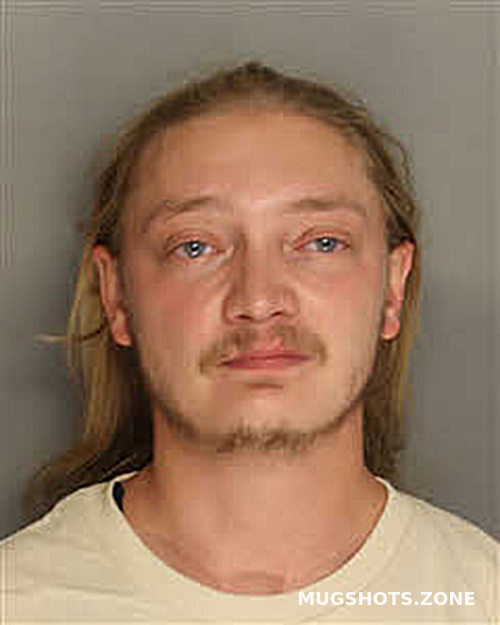 CRAVEN TYLER 03/29/2025 - Berkeley County Mugshots Zone
