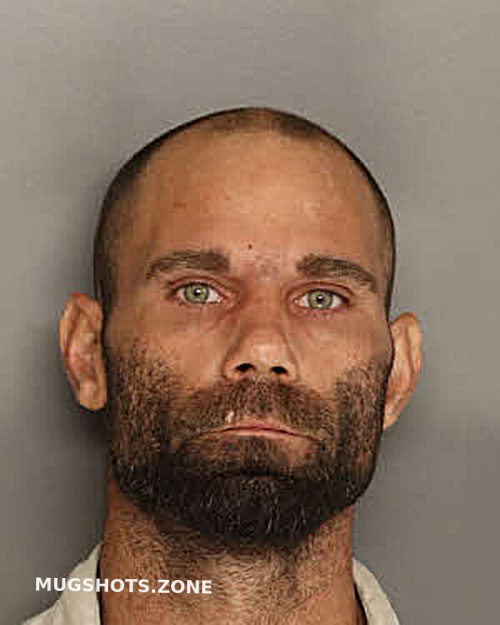MOODY JOHN BROOKS 03/29/2025 - Berkeley County Mugshots Zone