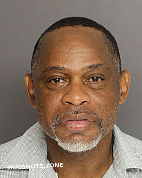 PEACE STANLEY ALEXANDER 04/03/2025 - Berkeley County Mugshots Zone