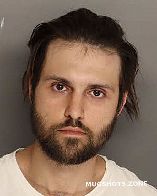 GOOLER ANTHONY L 04/14/2025 - Berkeley County Mugshots Zone