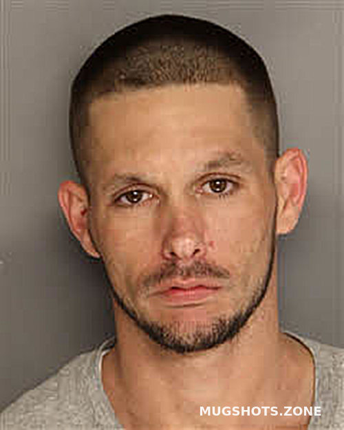 THORNHILL RYAN DANIEL 04/16/2025 - Berkeley County Mugshots Zone