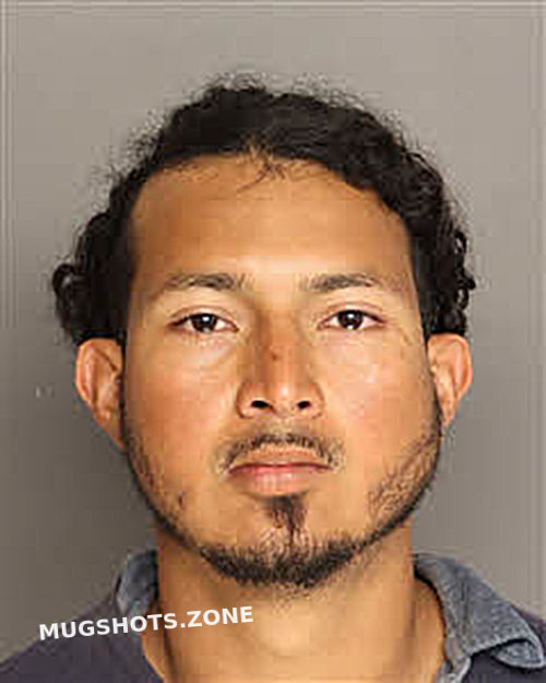 LOPEZ ROJAS VICTOR ANTONIO 04/17/2025 - Berkeley County Mugshots Zone