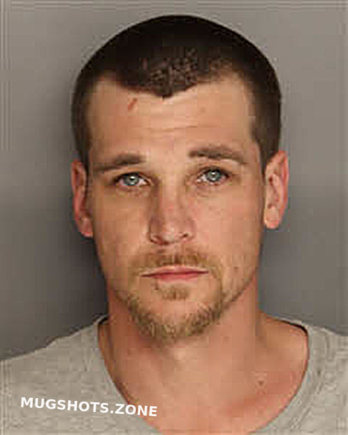 DAVIS DOUGLAS MACK 04/18/2025 - Berkeley County Mugshots Zone