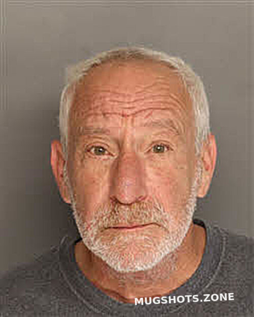 SCHEIER GREGORY LEWIS 04/18/2025 - Berkeley County Mugshots Zone