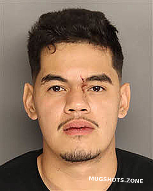 GOMEZ ERICK BRYANT 04/26/2025 - Berkeley County Mugshots Zone