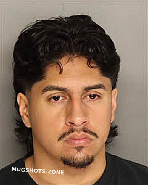 GEORGE ERICK ALEXANDER 04/27/2025 - Berkeley County Mugshots Zone