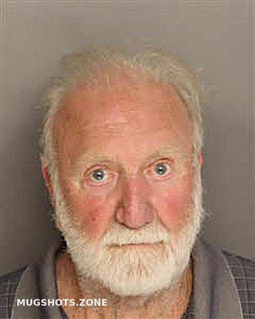 DEESE CHARLES EDWARD 04/29/2025 - Berkeley County Mugshots Zone