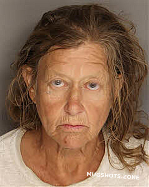 OSTRANDER KIMBERLY CARTER 05/01/2025 - Berkeley County Mugshots Zone