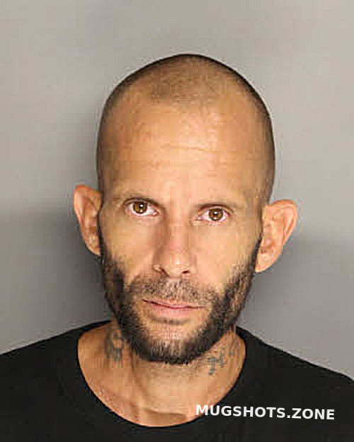 FEAGIN CHRISTOPHER MATTHEW 05/03/2025 - Berkeley County Mugshots Zone