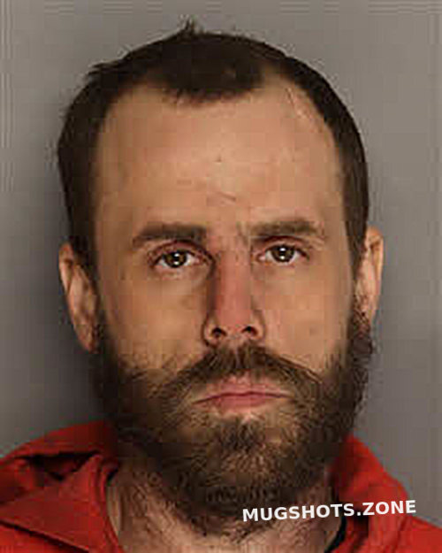 TULK CAMERON LEWIS 05/06/2025 - Berkeley County Mugshots Zone
