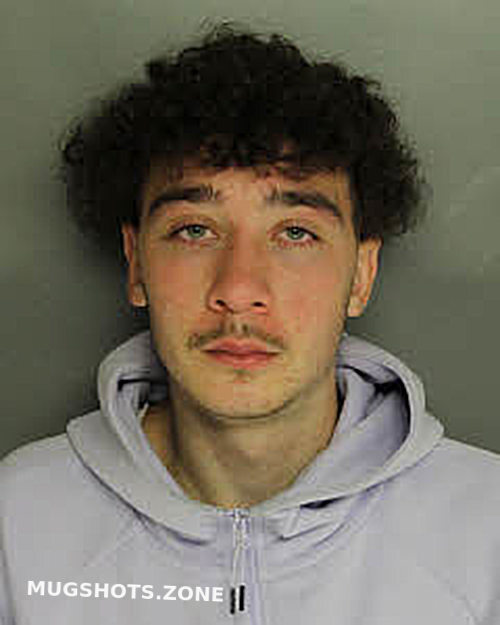 VALICEK LOGAN JOSEPH 05/06/2025 - Berkeley County Mugshots Zone