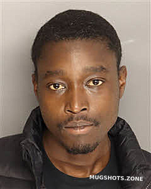 BROWN STEPHON ROBERT 05/08/2025 - Berkeley County Mugshots Zone