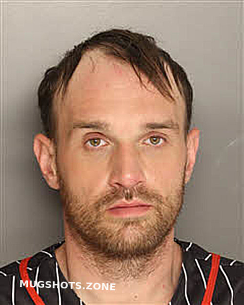 DOMINICK VINCENT N 05/24/2025 - Berkeley County Mugshots Zone