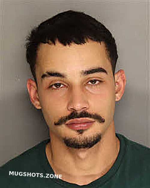 DA SILVA PATRICK MATEUS 05/25/2025 - Berkeley County Mugshots Zone