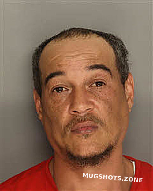 DAVIS WILLIAM ELIJAH 05/31/2025 - Berkeley County Mugshots Zone