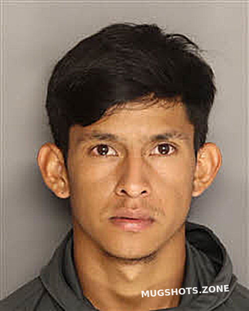 RAMOS-LOPEZ PEDRO OTONIEL 05/31/2025 - Berkeley County Mugshots Zone